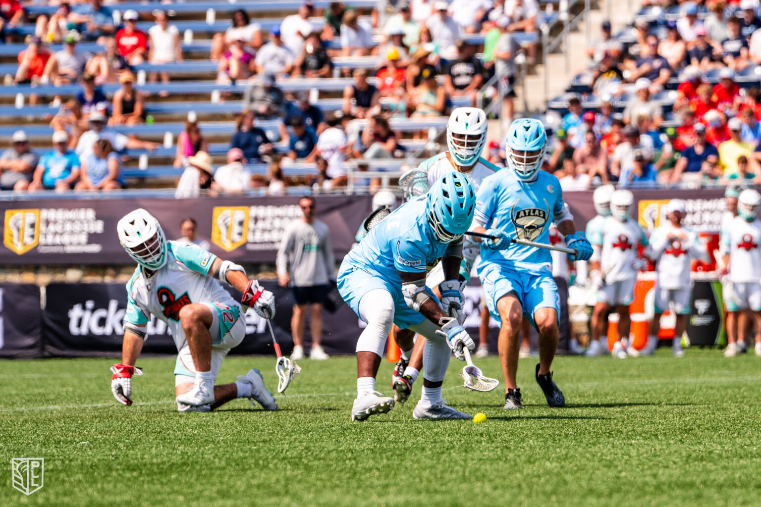 Atlas vs Whipsnakes Photo Gallery - Premier Lacrosse League