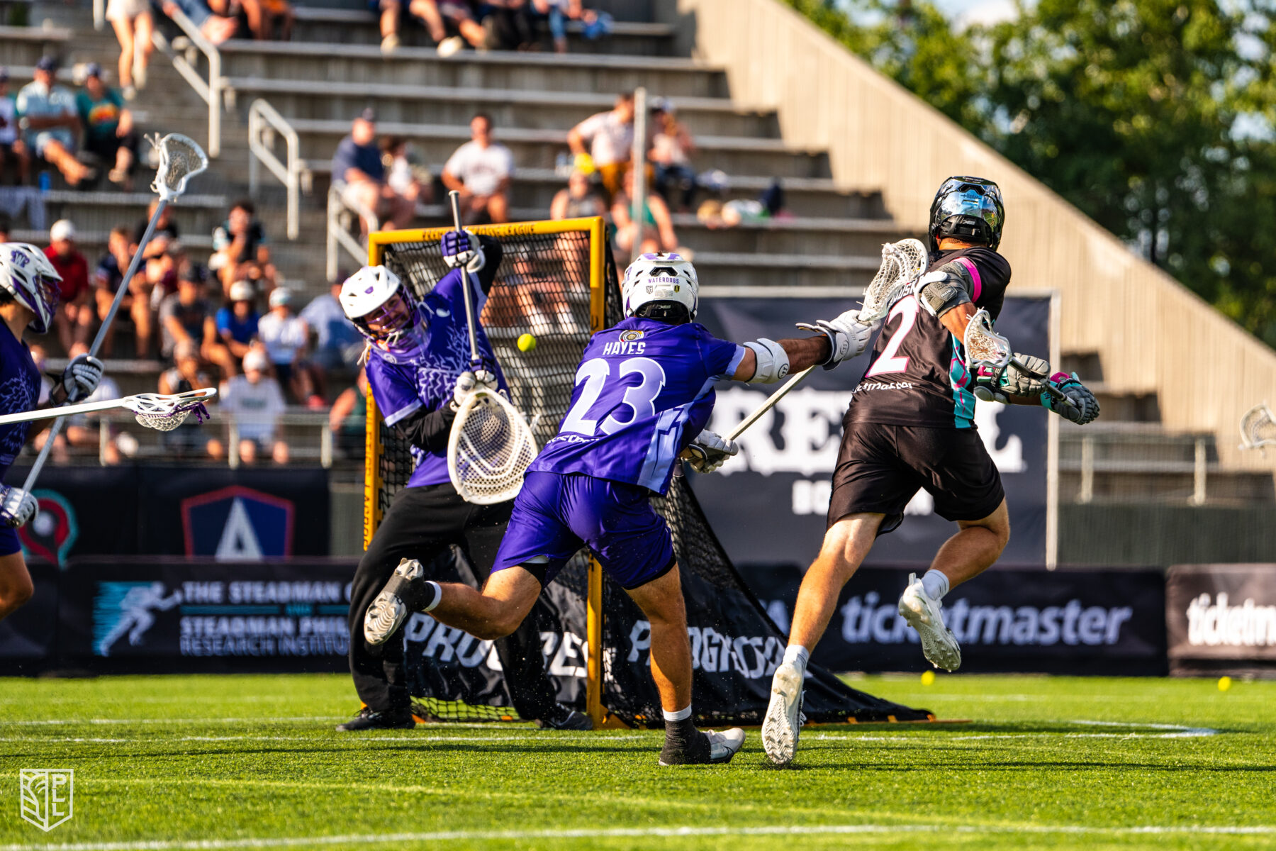 Waterdogs vs Chrome Photo Gallery - Premier Lacrosse League