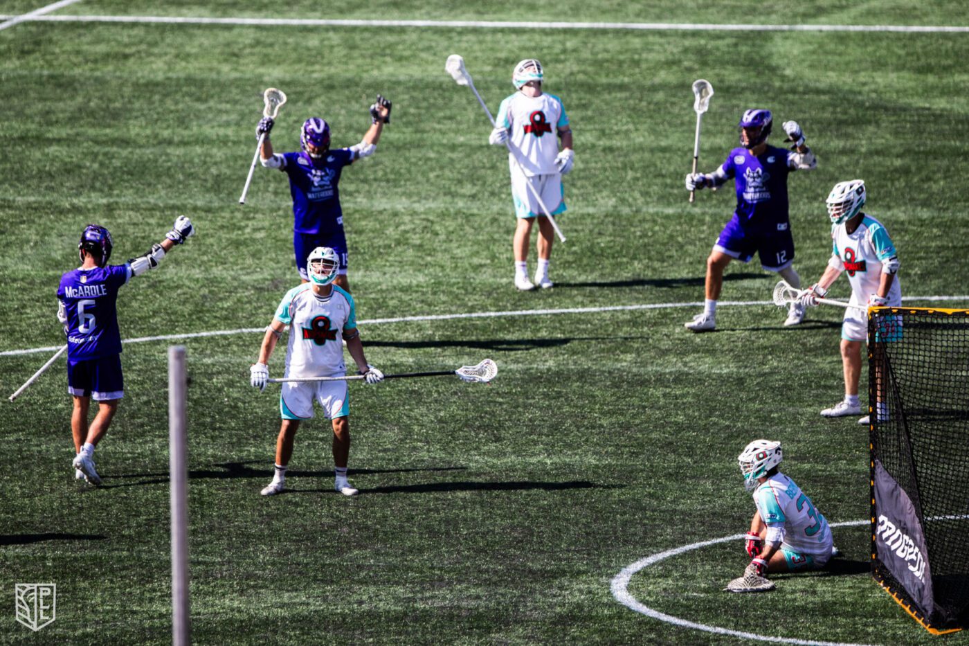 Whipsnakes vs Waterdogs Quarterfinal Photo Gallery - Premier Lacrosse ...