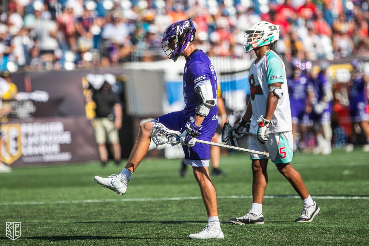 Whipsnakes vs Waterdogs Quarterfinal Photo Gallery - Premier Lacrosse ...