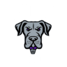 Join the Philadelphia Waterdogs - Premier Lacrosse League
