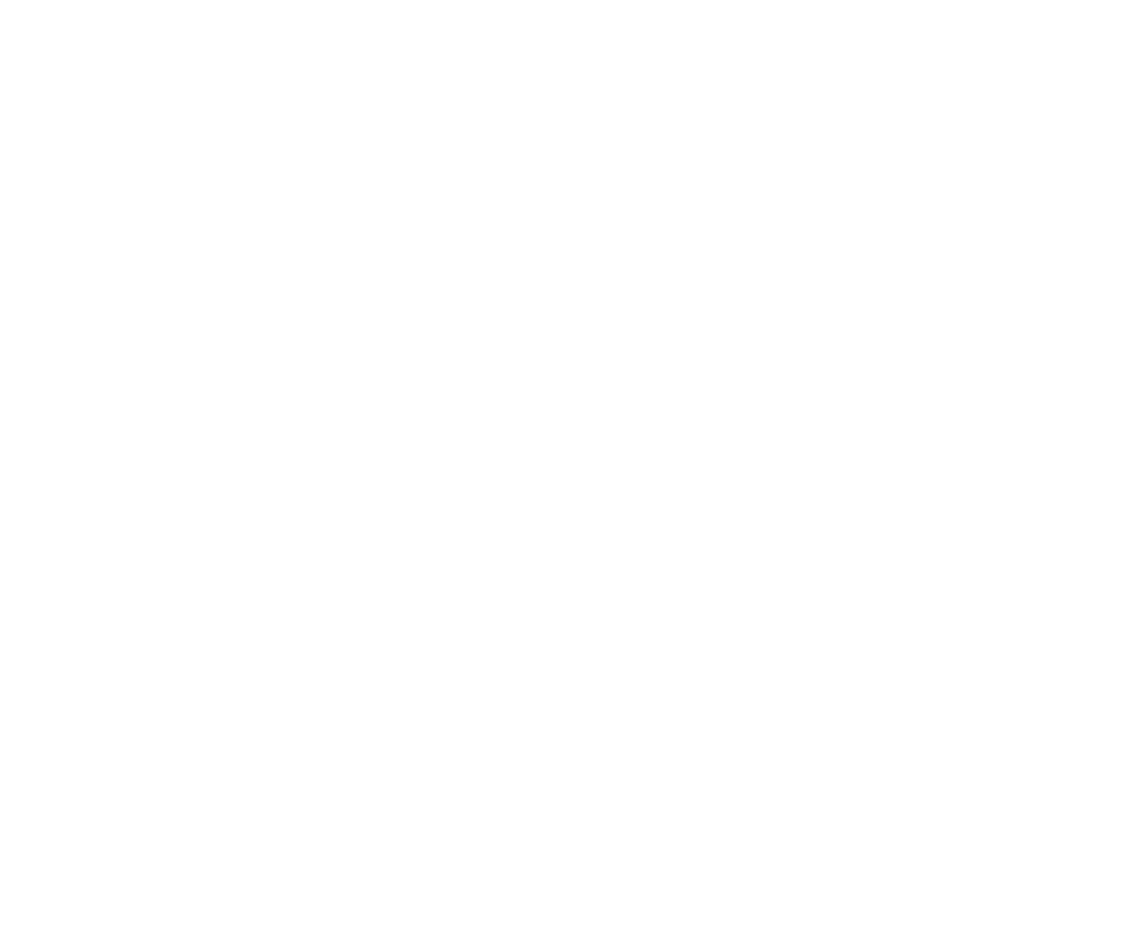 Street Lacrosse - Premier Lacrosse League
