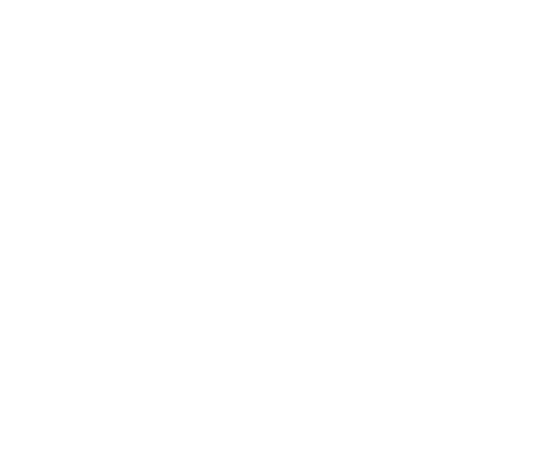 Street Lacrosse - Premier Lacrosse League